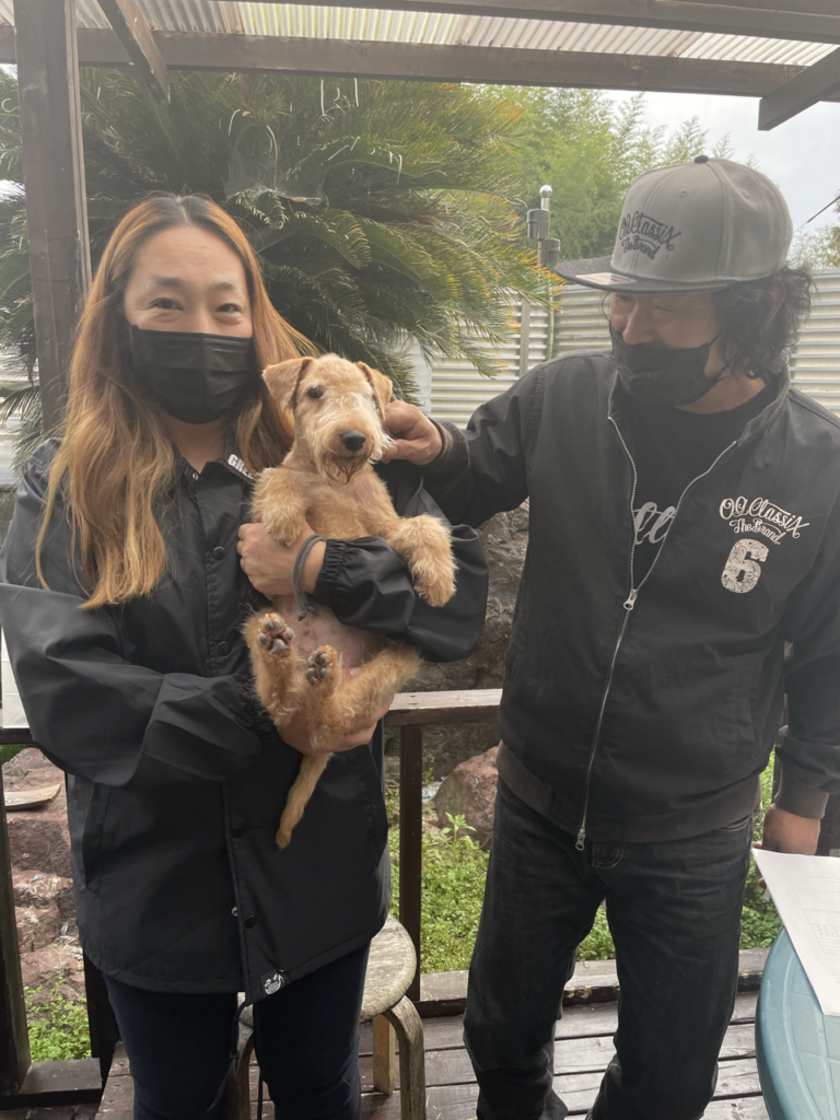 About US - High Cross Kennel - レークランドテリア ブリーダー